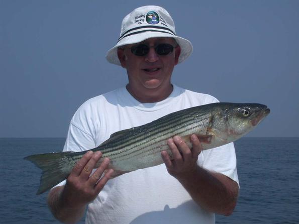 MARICA II - Sportfishing the Chesapeake Bay's Point Lookout area